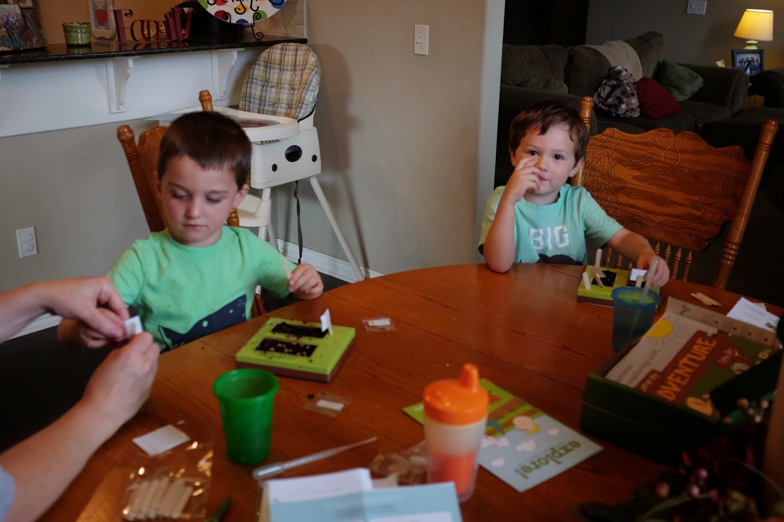 Kiwi Crate Summer Fun